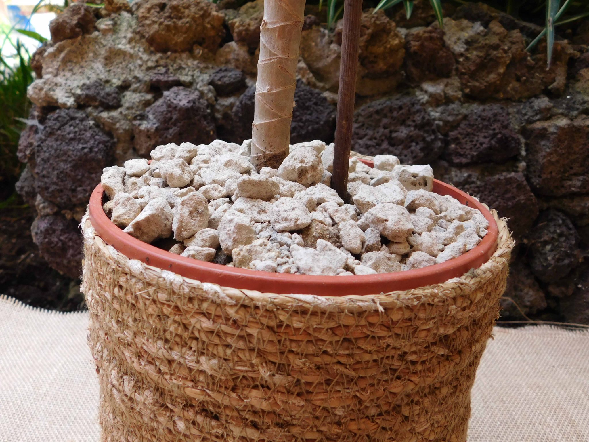 JABLE – PIEDRA PÓMEZ (Pumita)